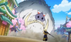 Kin'emon | One Piece Wiki Italia | Fandom