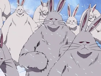 Specie animali/Saga della Baroque Works | One Piece Wiki Italia | Fandom