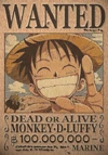 Monkey D. Luffy/Galeria | One Piece Wiki | Fandom