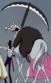 Doc Q | One Piece Encyclopédie | Fandom