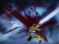 Kikunojo | One Piece Wiki | Fandom