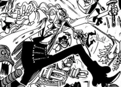 Squard | One Piece Wiki | Fandom