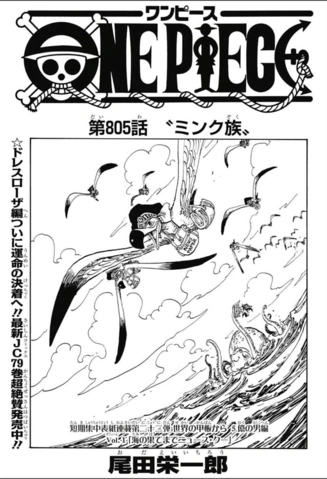Capítulo 805 | One Piece Wiki | Fandom
