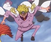 Pomsky | One Piece Wiki | Fandom