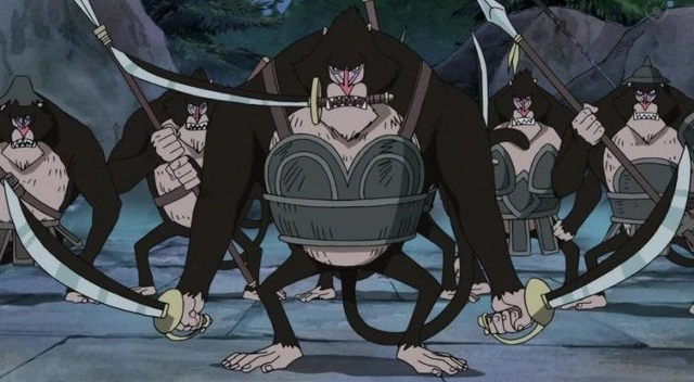 Humandrills | One Piece Wiki | Fandom