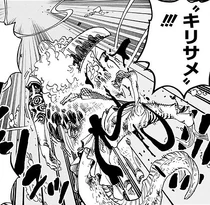 Ryuboshi | One Piece Wiki | Fandom