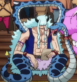 Poker | One Piece Wiki | Fandom