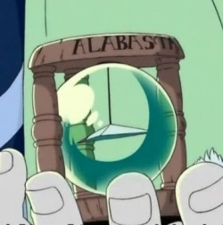 Eternal Pose | One Piece Wiki | Fandom