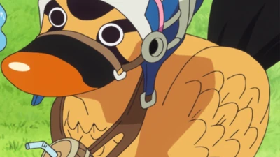 Discuss Everything About One Piece Wiki | Fandom