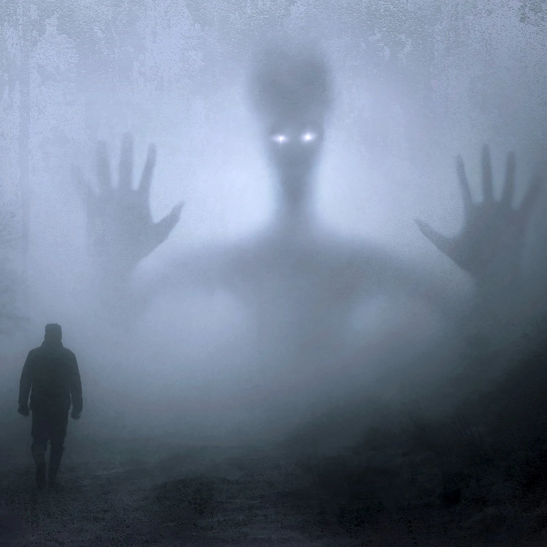 Boro Boro no Mi | One Piece Fan Fiction Wiki | Fandom