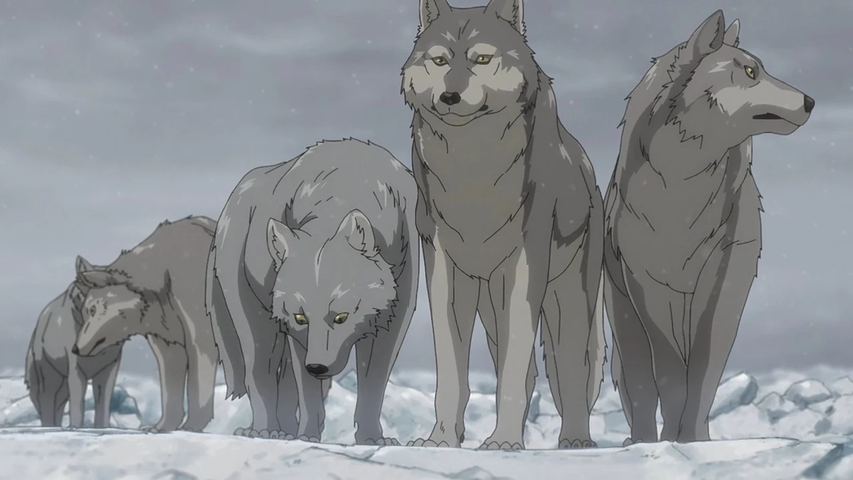 Inu Inu no Mi,Model: Ōkami | OnePiece Fanon Wiki | Fandom