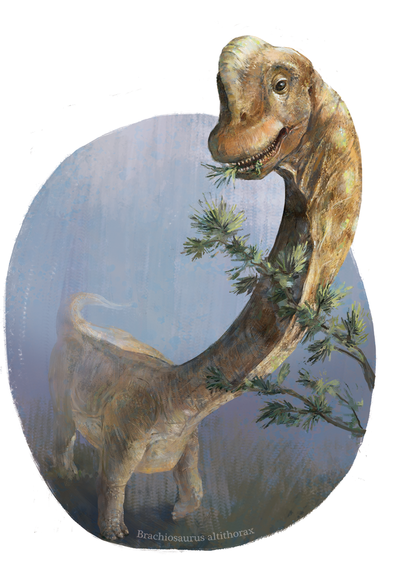 Kyou Kyou no Mi, Model: Brachiosaurus | OnePiece Fanon Wiki | Fandom