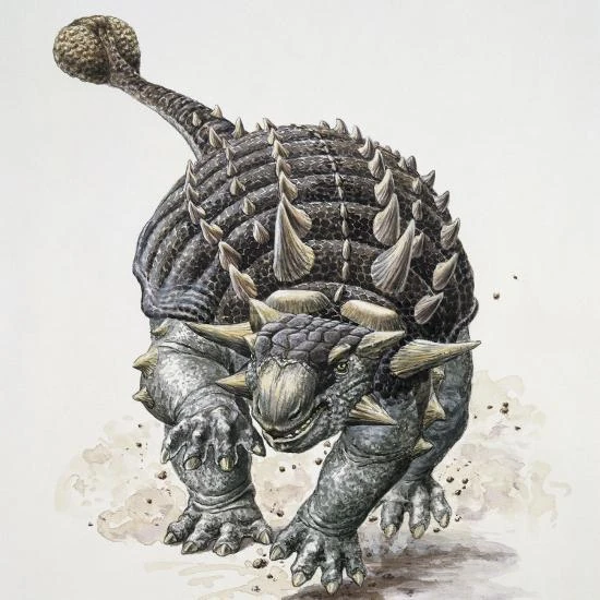Ryu Ryu no Mi, Model: Ankylosaurus | OnePiece Fanon Wiki | Fandom