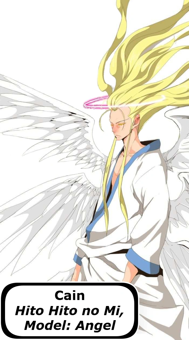 Hito Hito no Mi, Model: Angel | OnePiece Fanon Wiki | Fandom