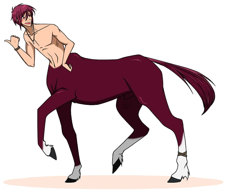Centaurs | OnePiece Fanon Wiki | Fandom