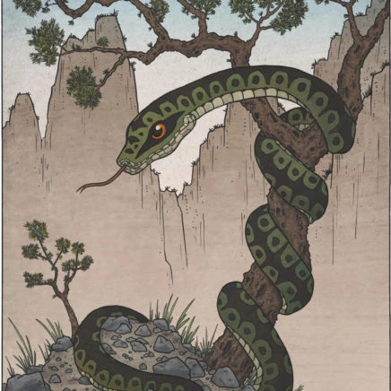 Hebi Hebi no Mi, Model: Uwabami | OnePiece Fanon Wiki | Fandom