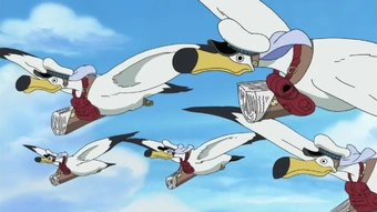 One Piece Seagull