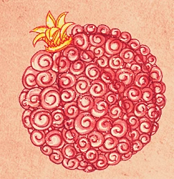 Kopi Kopi no Mi | Wikia One Piece Fanon | Fandom