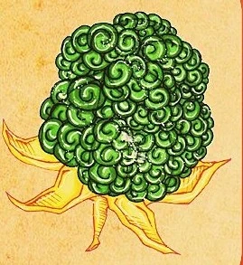 Inai Inai no Mi | OnePiece Fanon Wiki | Fandom