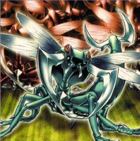 Mushi Mushi no Mi, Model: Earwig | OnePiece Fanon Wiki | Fandom