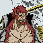 Wukong Pirates | OnePiece Fanon Wiki | Fandom