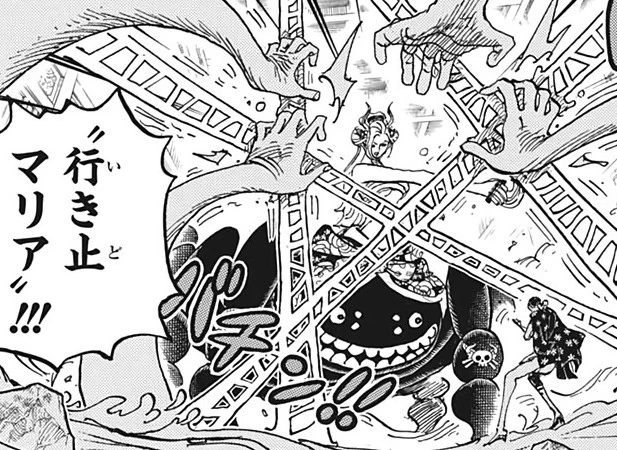 Kumo Kumo no Mi, Model: Rosamygale Grauvogeli | OnePiece Fanon Wiki ...