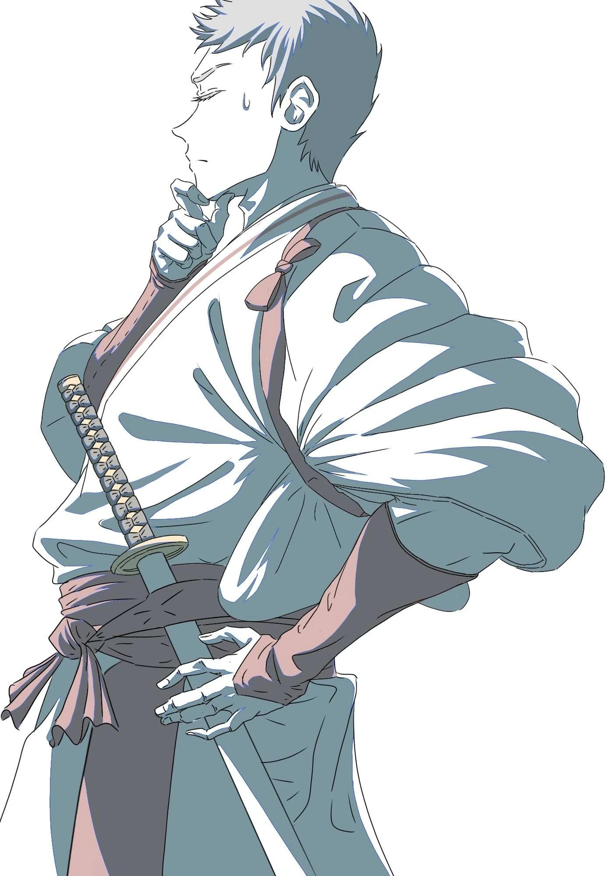 Ashikaga Saigo | OnePiece Fanon Wiki | Fandom