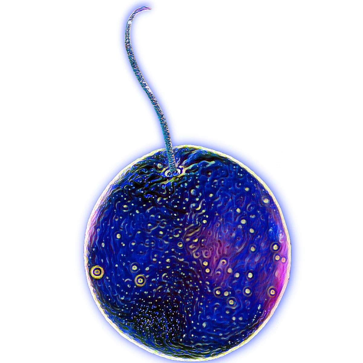 Buko Buko no Mi | OnePiece Fanon Wiki | Fandom