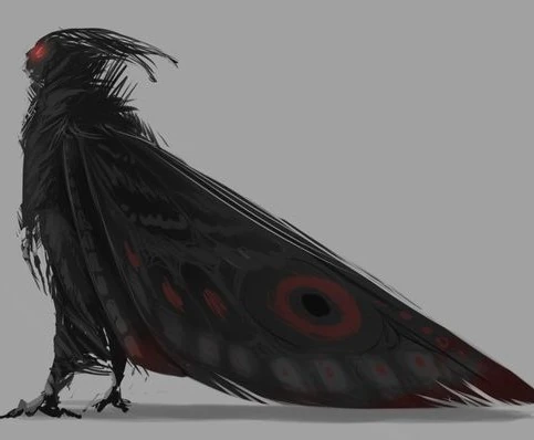 Yōsei Yōsei No Mi Modelo: Púca | Wikia One Piece Fanon | Fandom