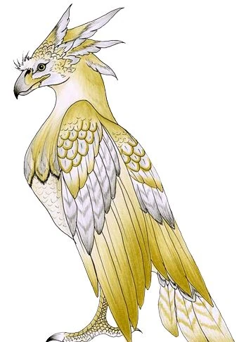 Tori Tori No Mi Model:Alicanto | OnePiece Fanon Wiki | Fandom