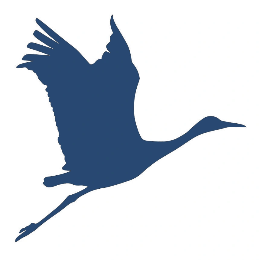 FLOCC | OnePiece Fanon Wiki | Fandom