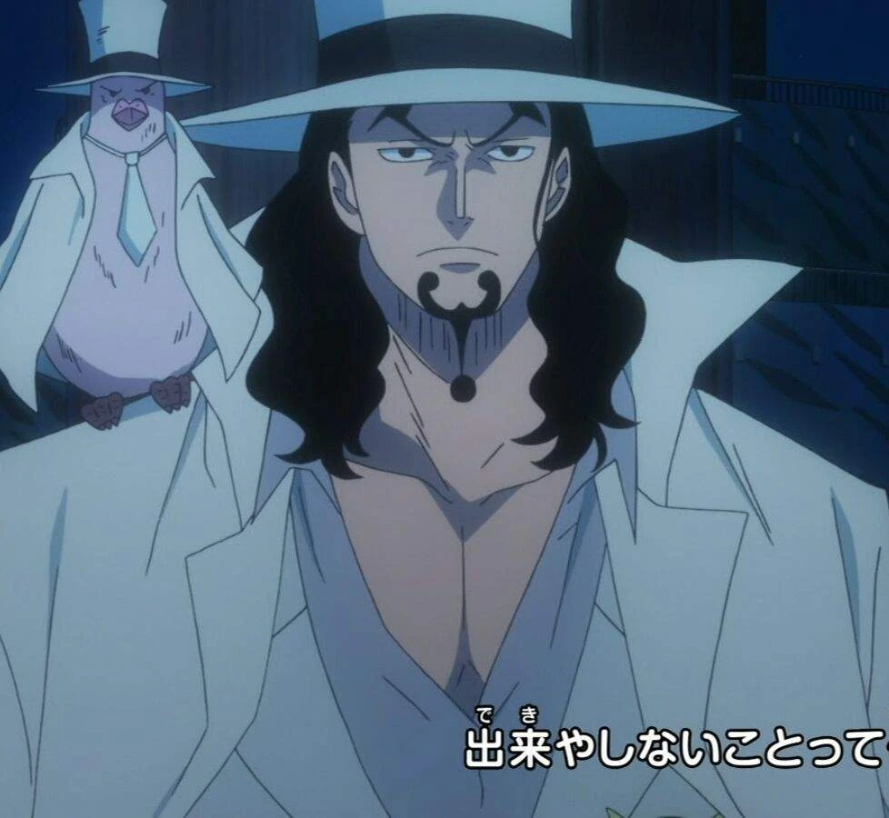 Rob Lucci | One Piece Wiki | Fandom