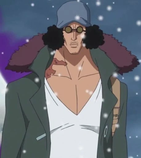 Kuzan | One Piece Wiki | Fandom
