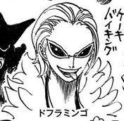 Donquixote Doflamingo | One Piece Wiki | Fandom