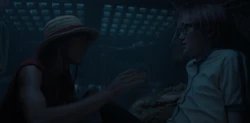 Monkey D. Luffy | One Piece Live Action Wiki | Fandom