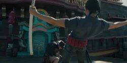 Dracule Mihawk | One Piece Live Action Wiki | Fandom
