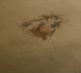 Momoo | One Piece Live Action Wiki | Fandom