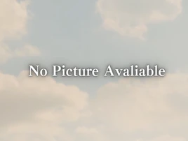 Richie | One Piece Live Action Wiki | Fandom