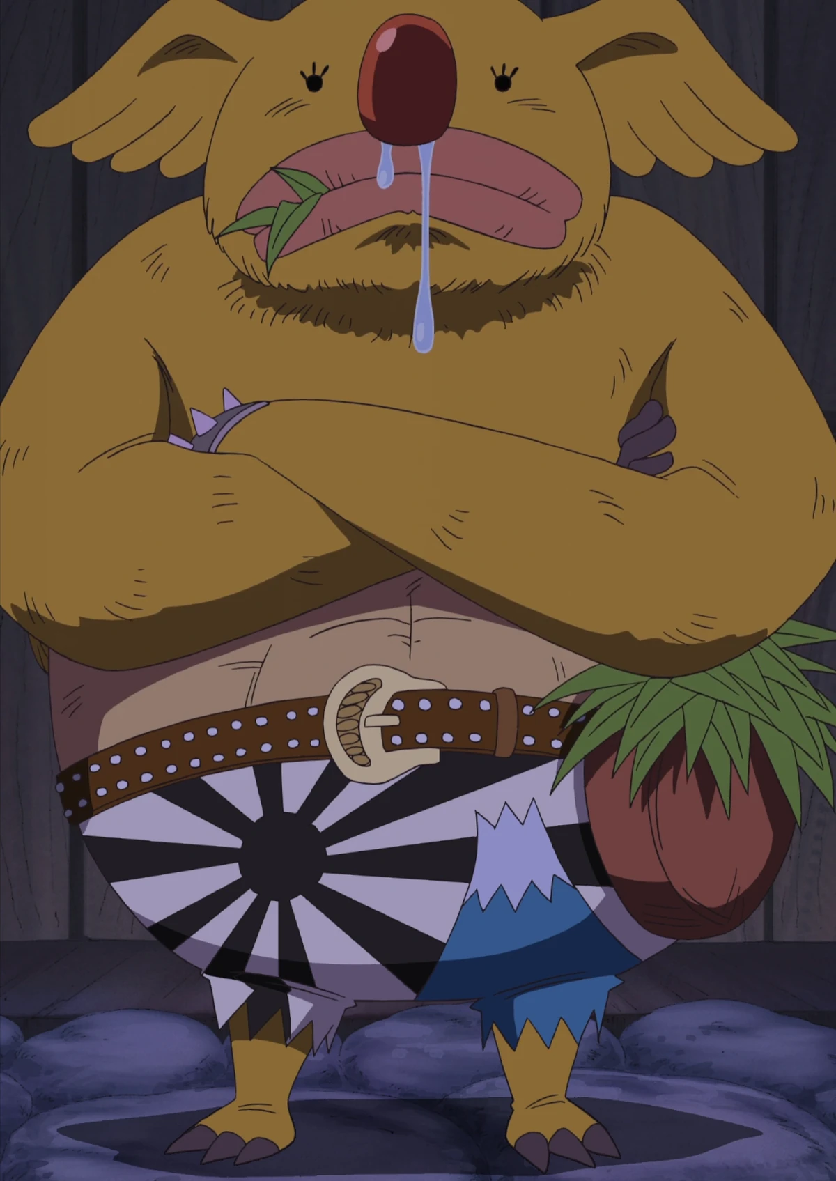 Kuma Kuma no Mi, Model: Koala | One Piece New World Wiki | Fandom
