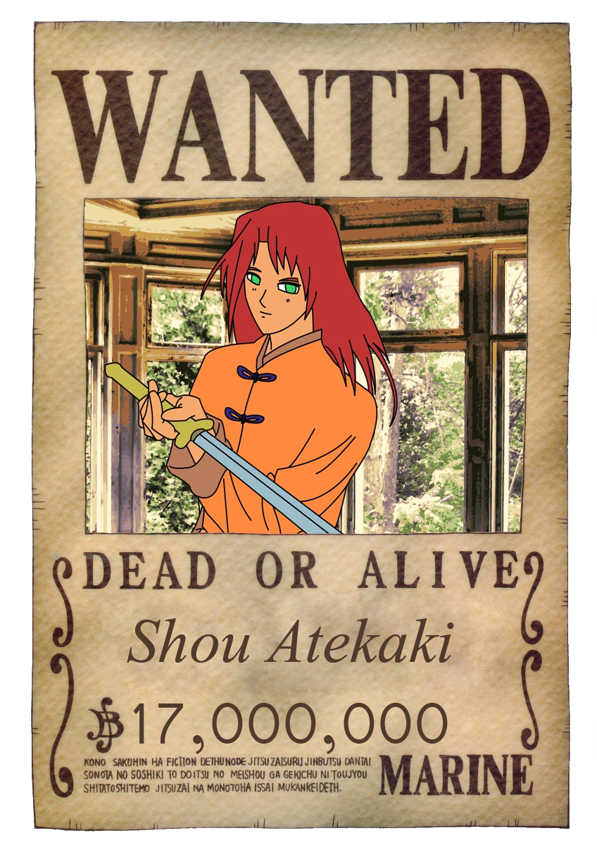 Atekaki Shou | One Piece: Parallel Existance Wiki | Fandom