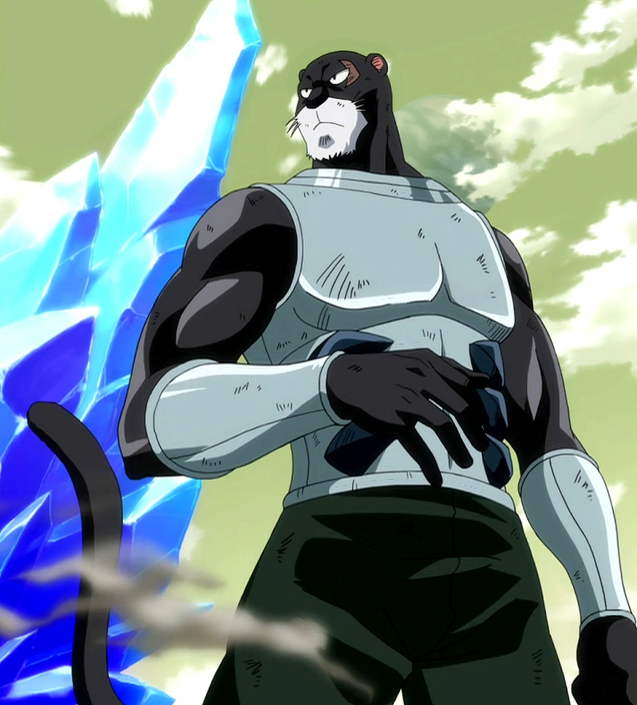 Neko Neko no Mi, Model: Panther | One Piece Adventure Wiki | Fandom