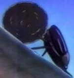 Giant Bug | One Piece Adventure Wiki | Fandom