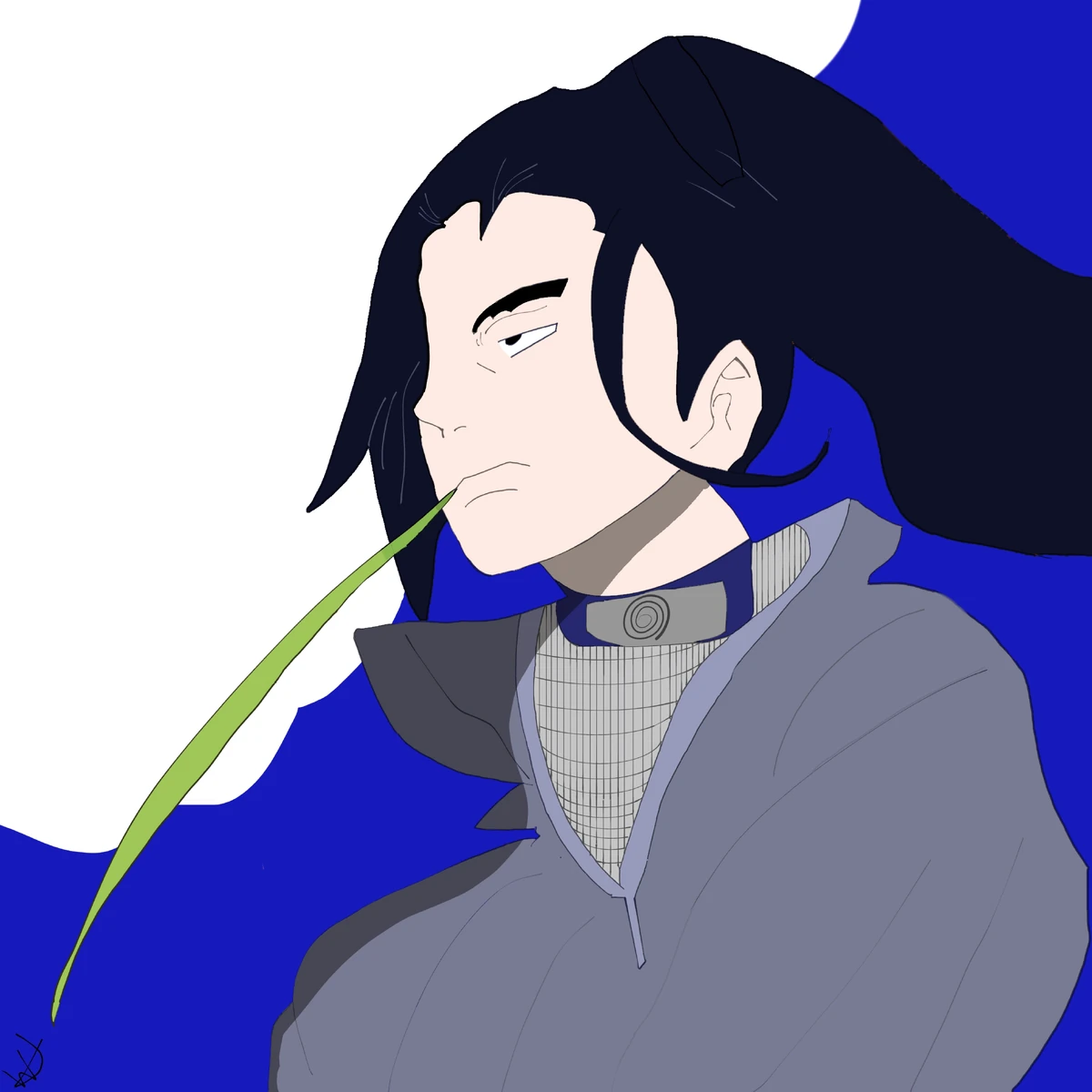 Iaido | One Piece World Wiki | Fandom