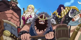 Giants | One Piece World Wiki | Fandom