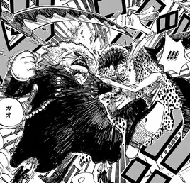 Combatant | One Piece World Wiki | Fandom