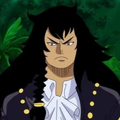 Swordsman | One Piece World Wiki | Fandom