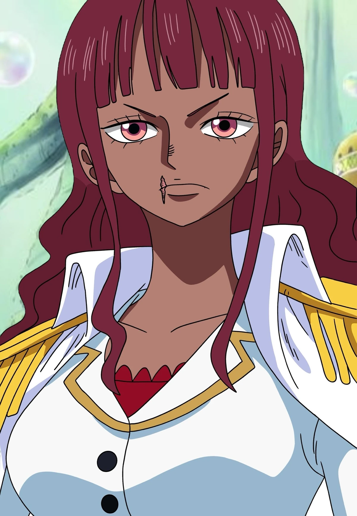 Lourdes Nyla | One Piece World Wiki | Fandom