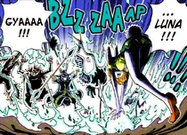Mink Tribe | One Piece World Wiki | Fandom