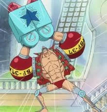 Franky | Wiki One Piece | Fandom