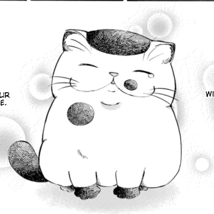 Poko | One Piece World Wiki | Fandom